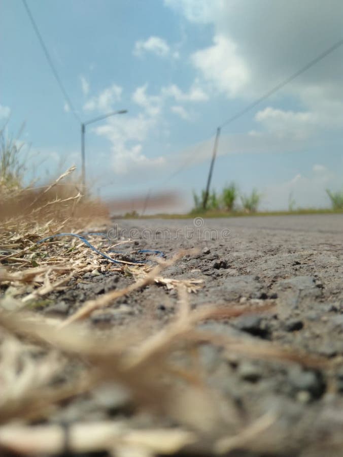 Dry Grass Paved during the Day Stock Image - Image of agriculture ...