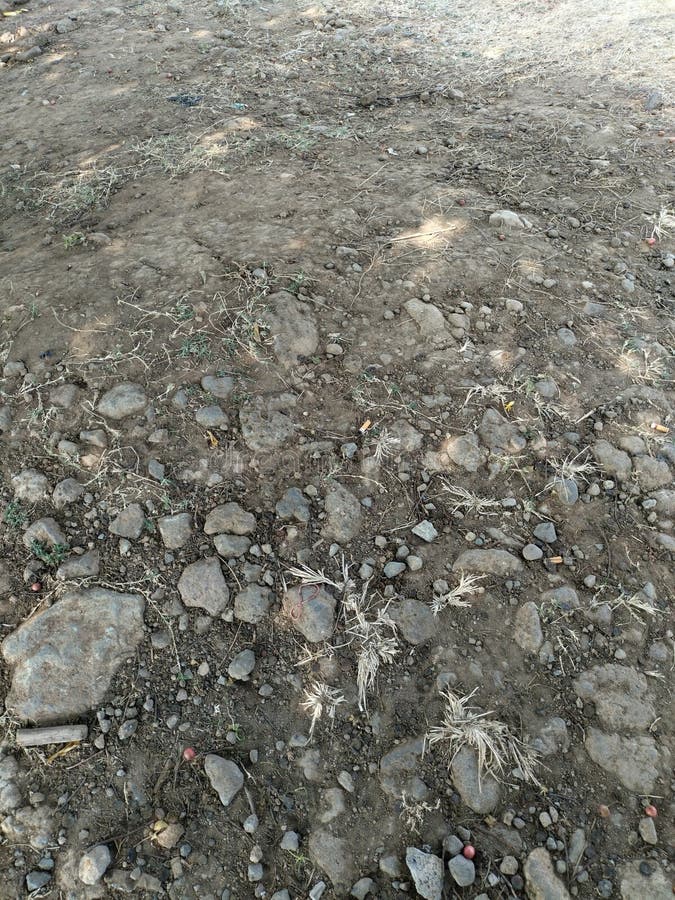 Dry Grass and Rocks on the Ground Stock Photo - Image of bedrock, floor ...