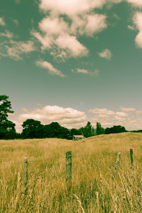 Dry grass in rural scene stock photo. Image of farm, house - 71594812