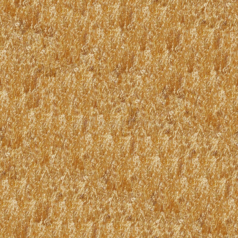 Dry Grass Seamless Pattern stock image. Image of botanical - 7723457