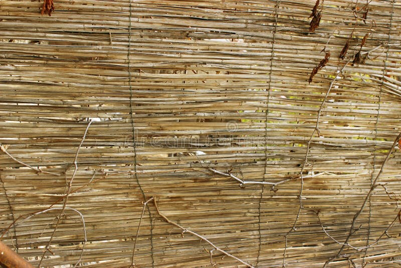 Dry Grass Thatch Rustic Wall Textured Background Stock Photo - Image of ...