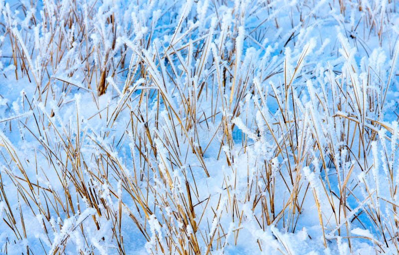 Snowy Field stock image. Image of fall, beautiful, melting - 13546083