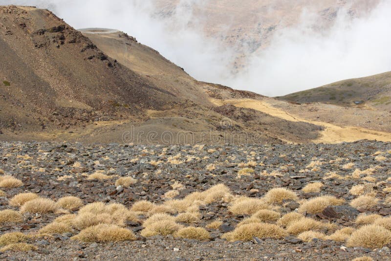 Dry grass on volcanic ash stock image. Image of slopes - 58233455