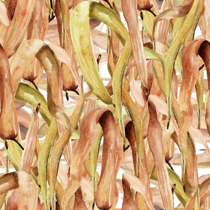 Dry Grass Watercolor Seamless Pattern Stock Illustration - Illustration ...