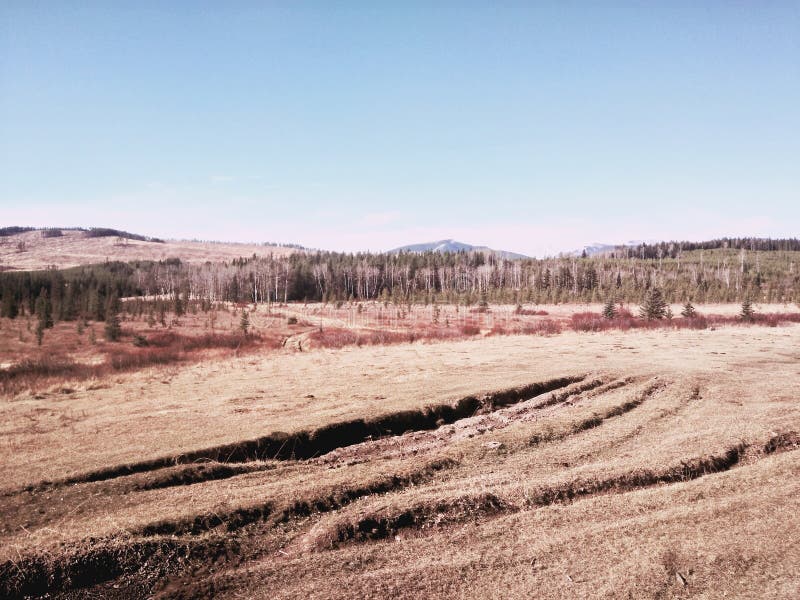 A Dry Grassy Field Under a Bright Blue Sky Stock Photo - Image of wadi ...