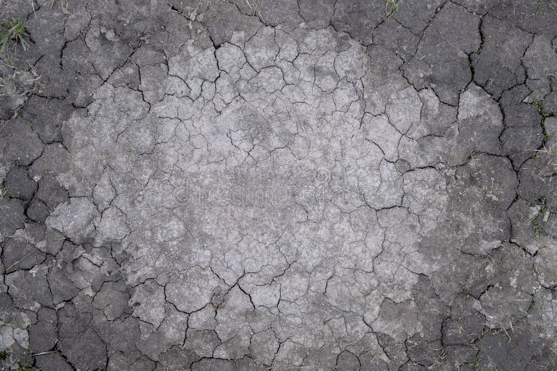 Dry earth, rough year stock photo. Image of lentils, prairie - 25388