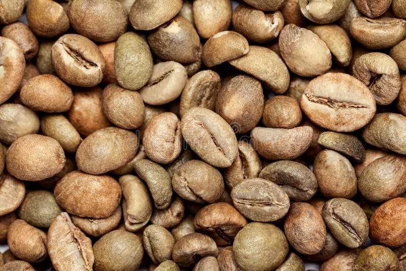 Dry Green Coffee Beans (Coffea Arabica) Stock Image - Image of brown ...