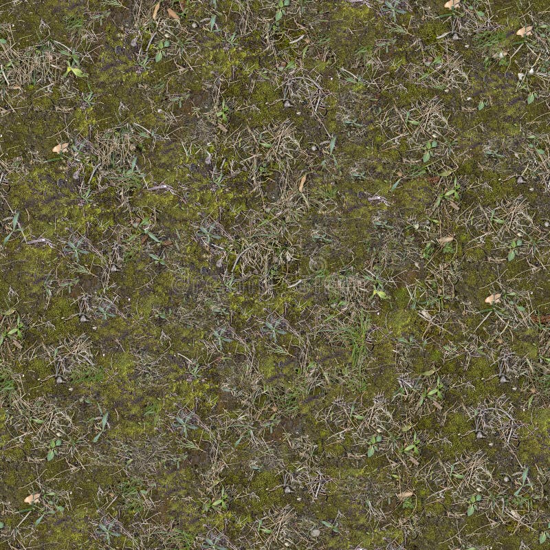 Moss Seamless Texture. stock image. Image of closeup - 29780037