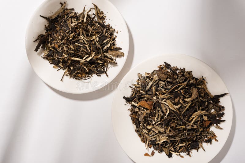 Dry Green Tea Leaves on a White Plate, the Shadow of Trees on the ...