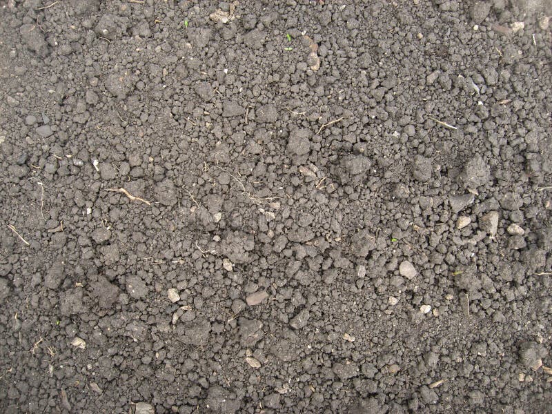 Dry grey soil texture stock photo. Image of spring, abstract - 217732580