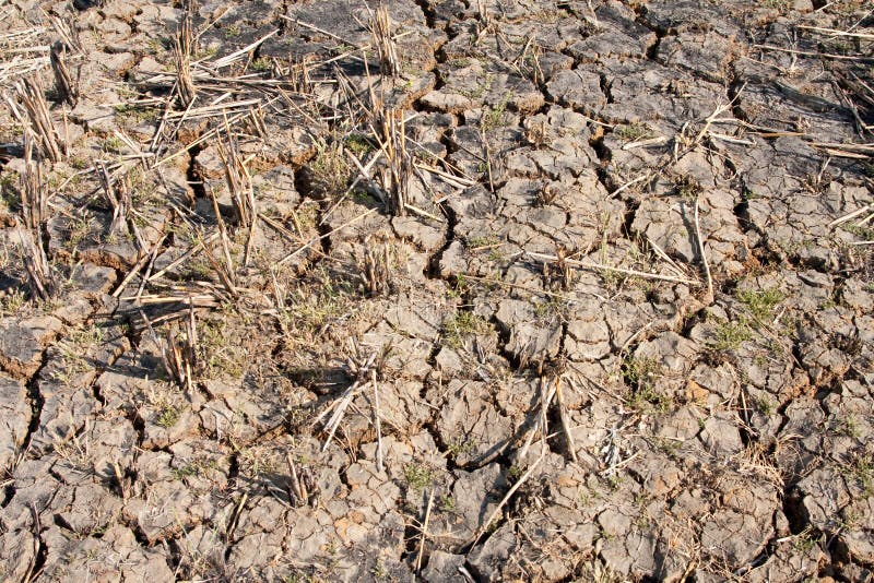 Dry ground stock photo. Image of summer, drought, macro - 12533912