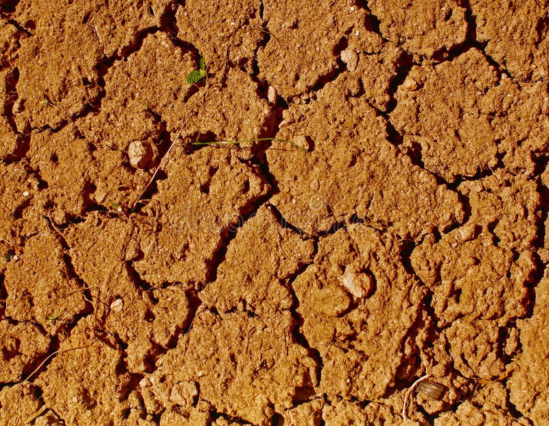Dry ground stock photo. Image of dust, drought, acres - 12631228