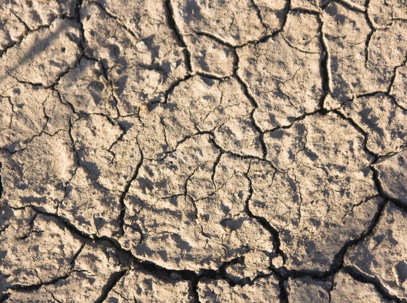 Dry ground stock photo. Image of arid, brown, clay, background - 15651670