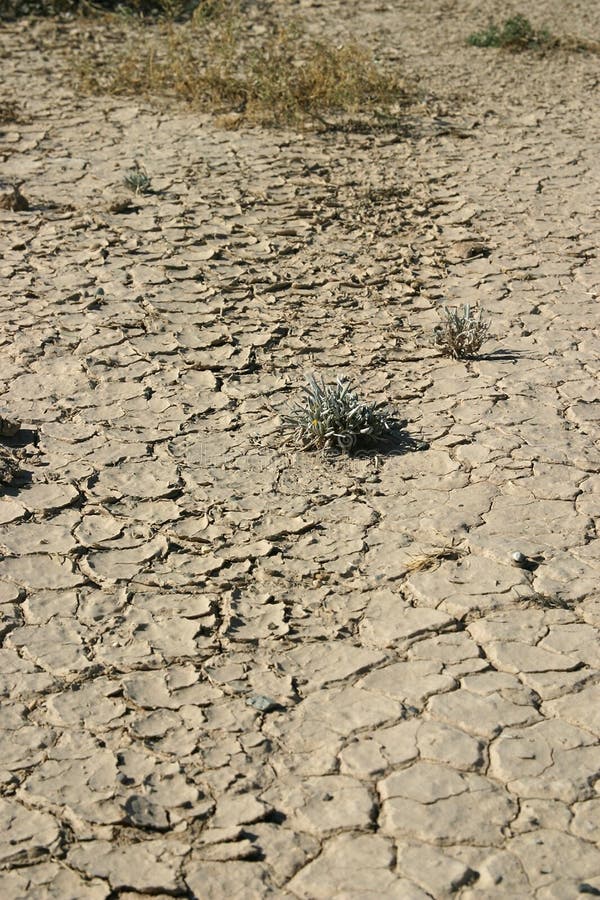 Dry Ground stock photo. Image of drought, thirsty, cracked - 185550