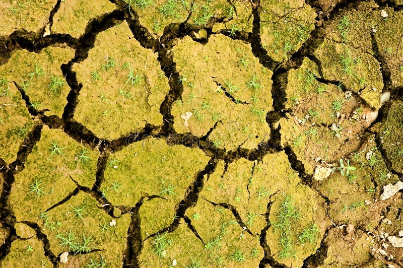 Dry ground stock photo. Image of rimose, dehisce, natural - 5936464