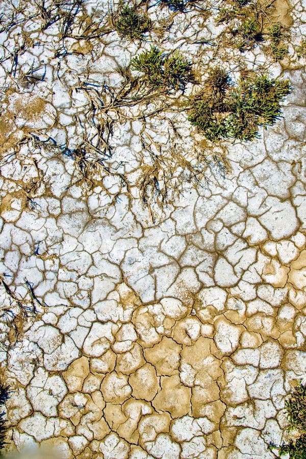 Dry ground stock photo. Image of climate, texture, backdrop - 6142778