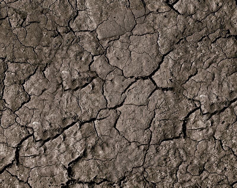 Dry Ground Picture. Image: 6541229