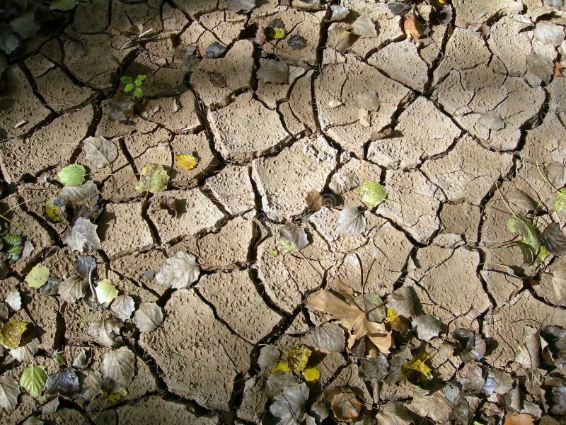Dry ground in autumn stock photo. Image of park, nature - 1501006