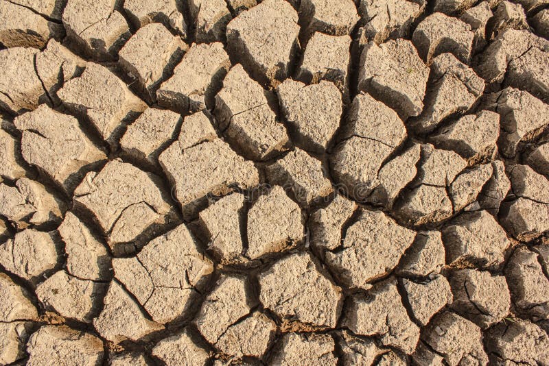 Dry on ground stock photo. Image of ideas, pattern, plant - 39645912