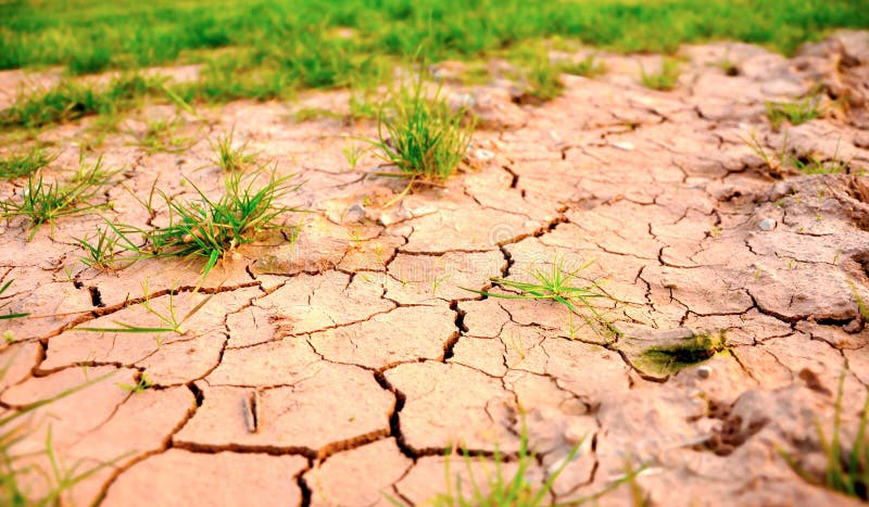 Dry ground stock image. Image of dirt, salsola, crack - 34406477