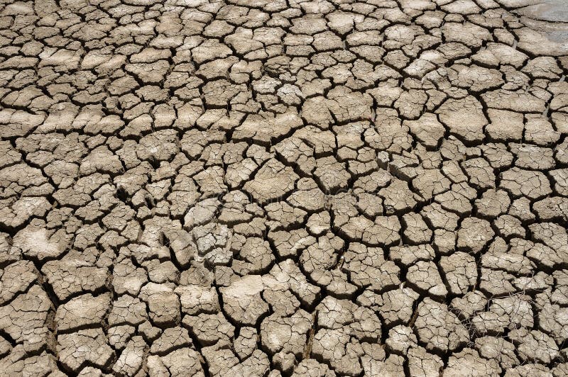 Dry ground stock photo. Image of garden, dust, barrenness - 51023084