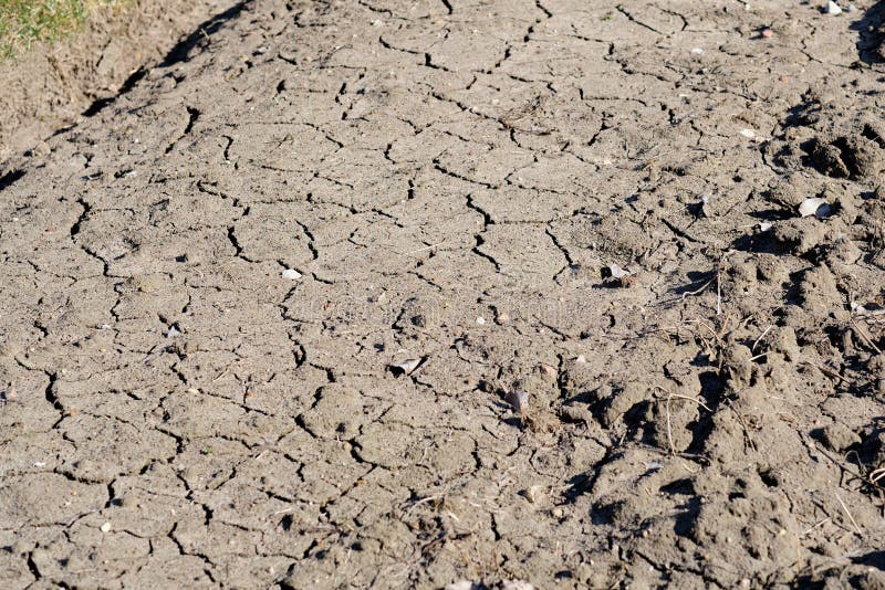 Dry Ground with Cracks Around the Perimeter Stock Photo - Image of soil ...