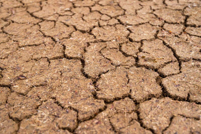 Dry ground with cracks stock photo. Image of extreme - 168840304
