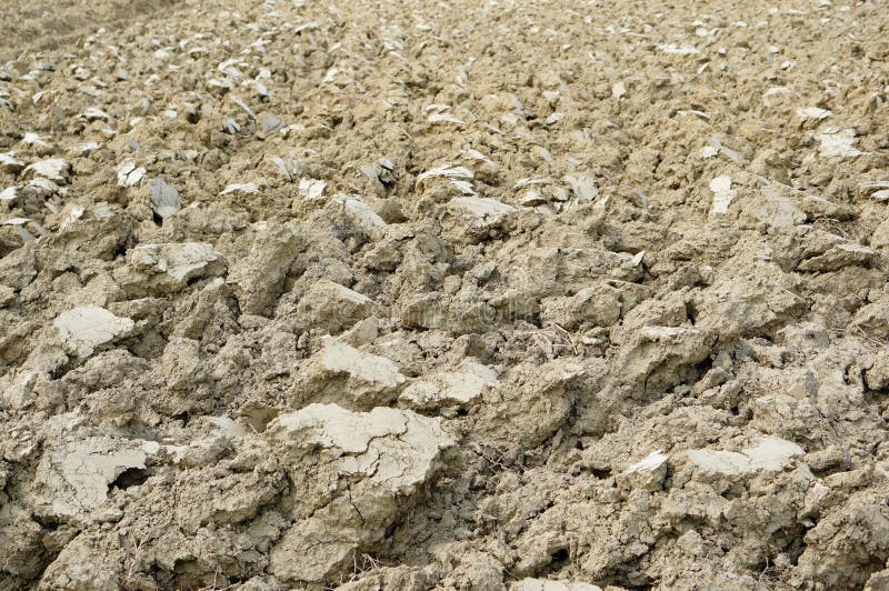 Dry ground stock image. Image of sunny, field, ground - 43640675