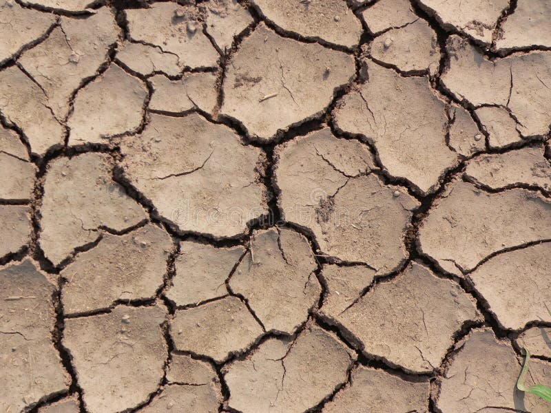 Dry ground texture stock photo. Image of colour, texture - 2836978