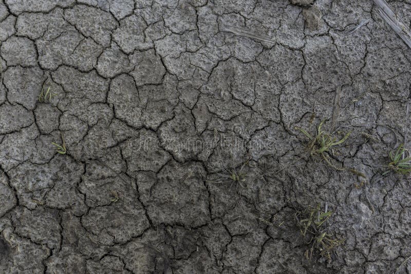 Dry ground texture. stock image. Image of resources - 119728623