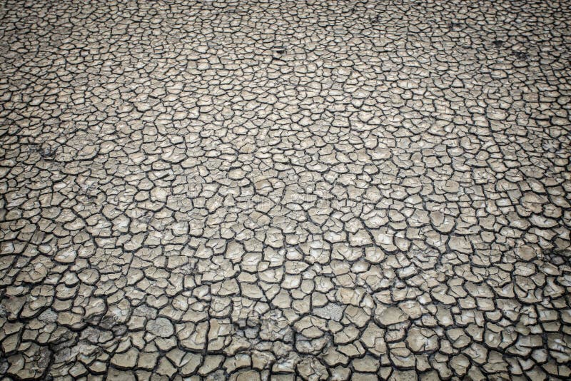 Dry ground texture stock image. Image of brown, arid - 74666531