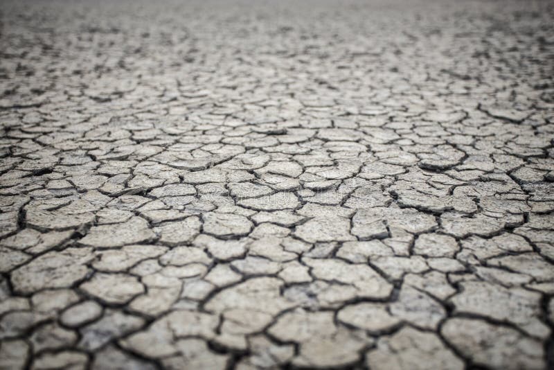 Dry ground texture stock photo. Image of detail, earth - 74666536