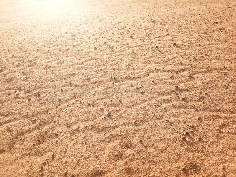 Dry Ground Texture with Exotic Wave Characteristics Caused by Wind ...