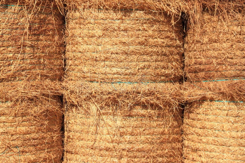 Dry hay stock image. Image of farm, texture, field, agriculture - 18358193