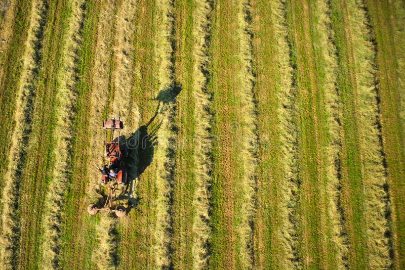 Dry the Hay in the Open Field Stock Image - Image of tractor, grass ...