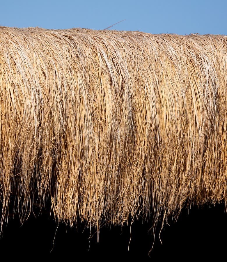 Dry Hay on the Roof of the House. Stock Photo - Image of brown, tribal ...