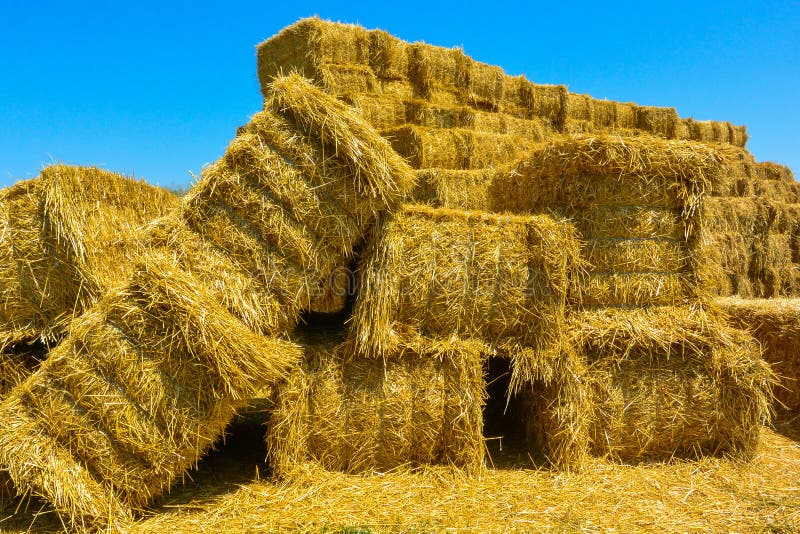 Haystack Harvest Agriculture Farm Field. Haystack Rock on Agricultural ...