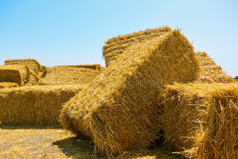 Dry Haystack, Farming Symbol of Harvest Time Stock Photo - Image of ...