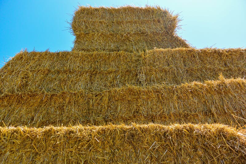 Dry Haystack, Farming Symbol of Harvest Time Stock Image - Image of ...