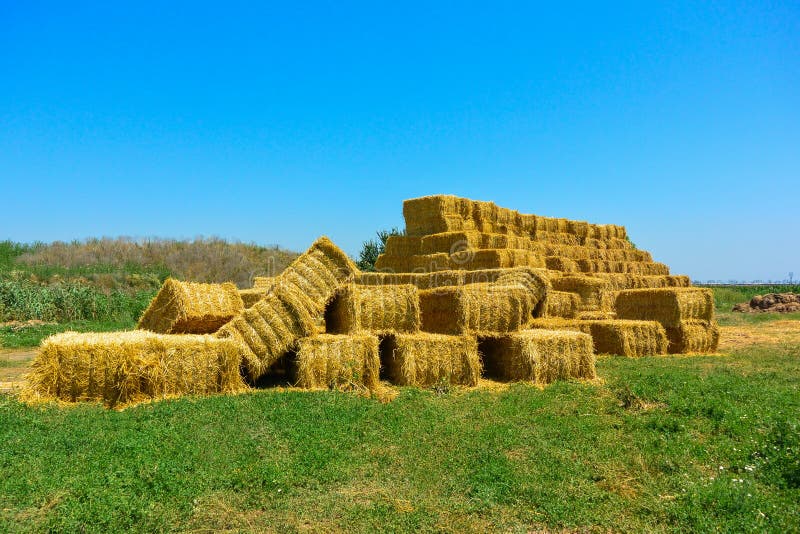 Dry Haystack, Farming Symbol of Harvest Time Stock Image - Image of ...