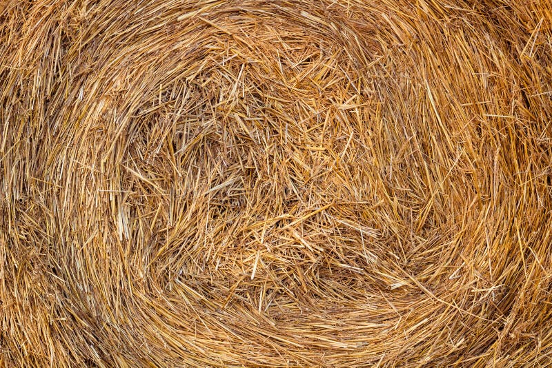 Dry Hay Stack Natural Background Stock Image - Image of ecology, mown ...
