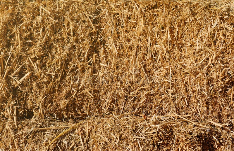 Texture of Hay Bale Background or Dry Grass Background. Textured Hay ...