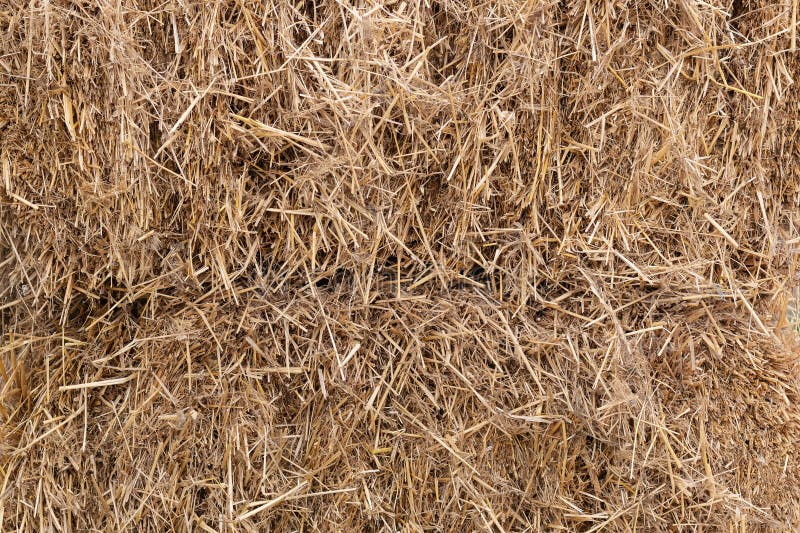 Dry Haystack Close-up Background, Straw Texture Stock Image - Image of ...