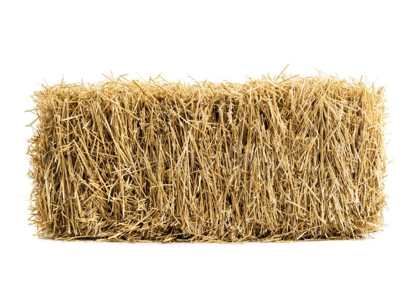 A Pile of Hay Isolated on White Background. Stock Photo - Image of hill ...