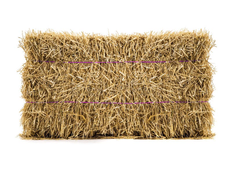 Dry haystack isolated stock image. Image of crop, cereal - 148134531