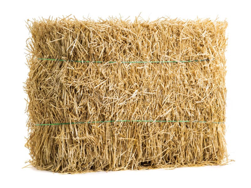 Dry haystack isolated stock image. Image of white, yellow - 148134597