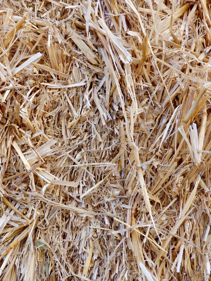 Dry Haystack of Yellow Warm Colour Outside for Backgrounds and ...