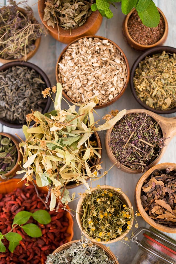 Dry herbs collection stock image. Image of cure, mint - 240355141