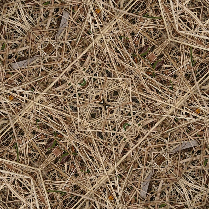 Dry Hey Abstract Background Shapes Textured Blurred Stock Photo - Image ...