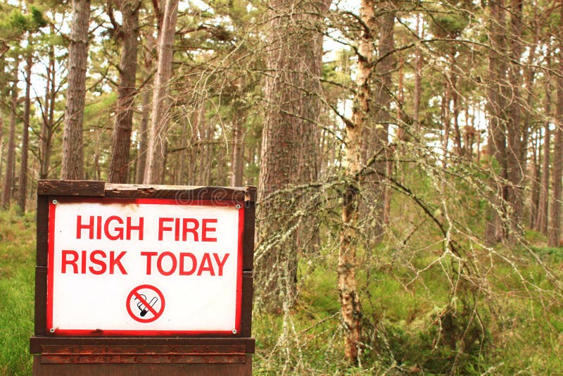 Dry Highland Forest with Fire Risk Sign Stock Image - Image of fire ...